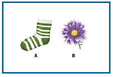 WISC-V (ehem. HAWIK) - Intelligenztest - Pearson Clinical & Talent ...